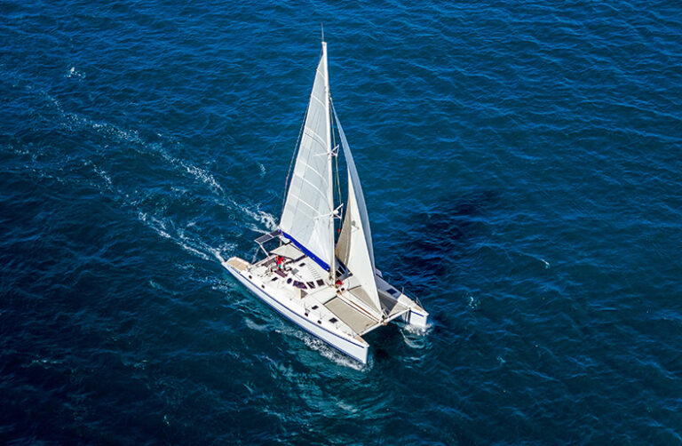 A Complete Guide to Sailboats: All You Need to Know!