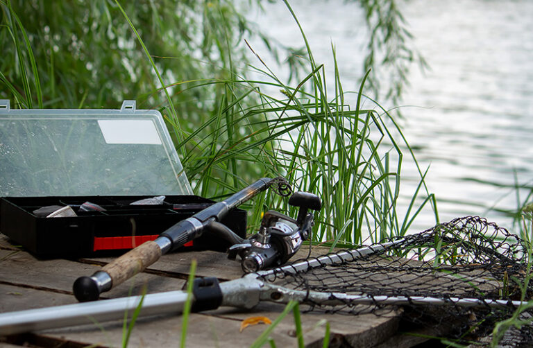 How to Bass Fish: Complete Beginner's Guide to Get You Started