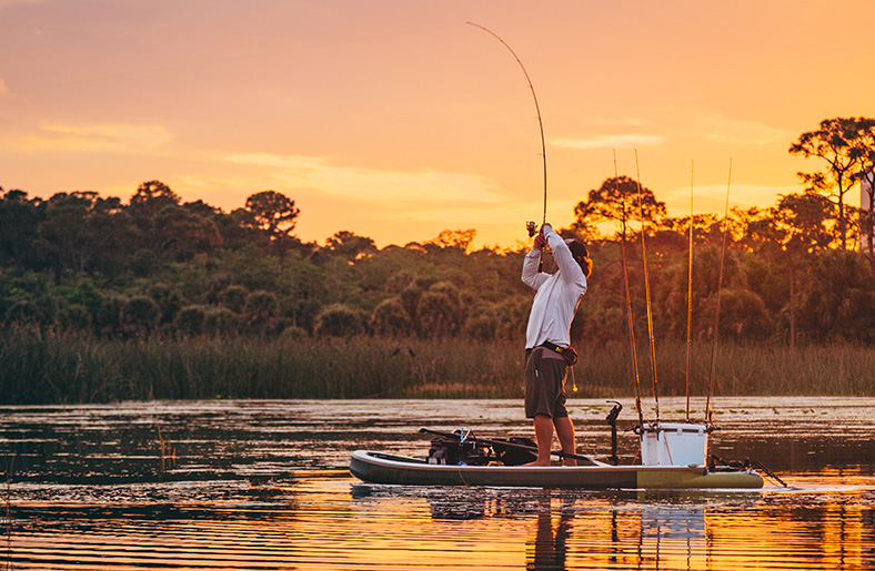 SUP Fishing: Complete Beginner's Guide To get You Started