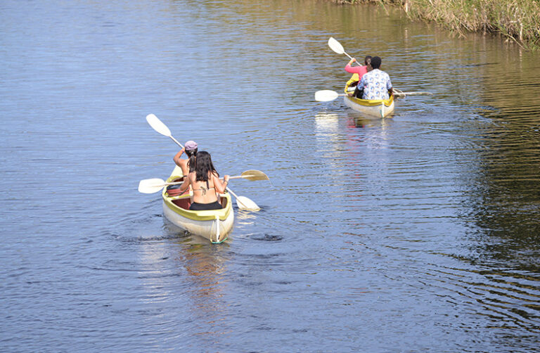 Guide to Average Canoe Speeds: How Far Can You Paddle In A Day?